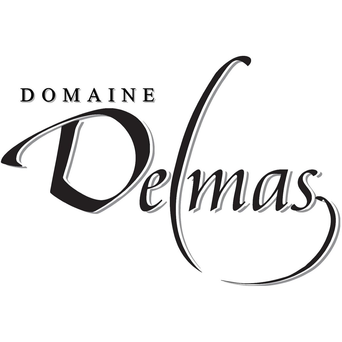 Domaine Delmas - Moncremant
